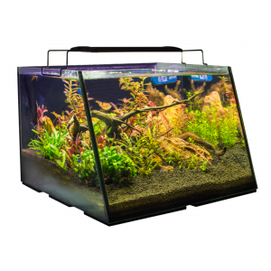 Freshwater Aquarium Supplier | Aquatic Warehouse