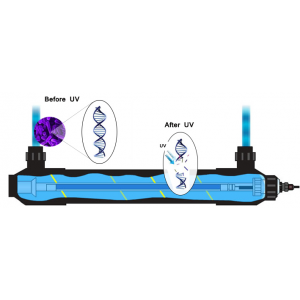 Ultraviolet Sterilizers for Removing Algae & Bacteria