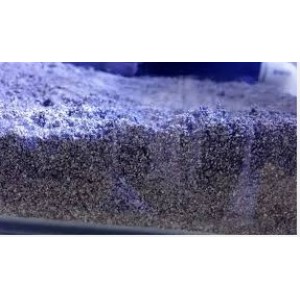 Refugium Mineral Mud | Nutrients for Aquarium Coral
