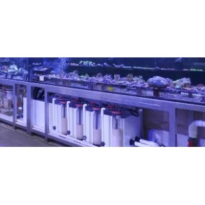 Durable Media Reactors for Aquariums | Aquatic Warehouse